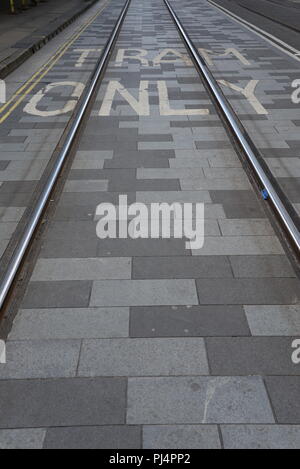 Trams only road sign on white background Stock Photo - Alamy