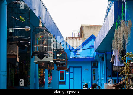 Kampung Biru Arema is a traditional village in Malang, Indonesia Stock ...