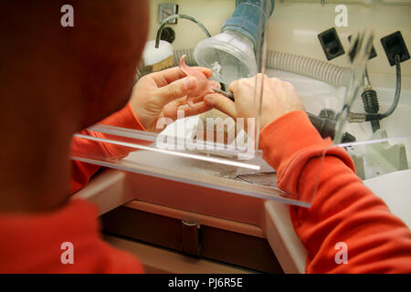 Trimming with micro motor Shellac base plates. Dentures. Dental ...