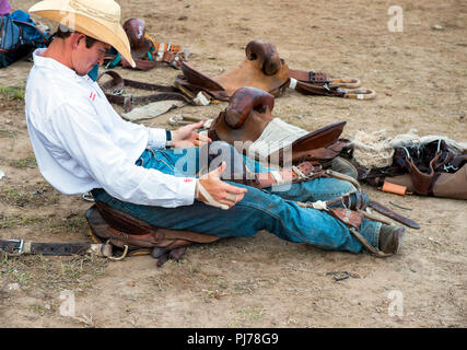 Saddle Bronc cowboy gearing up for Texas rodeo USA Stock Photo - Alamy