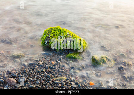 Rock covered with vegetation near Grotta Island Lighthouse, Reykjavik ...