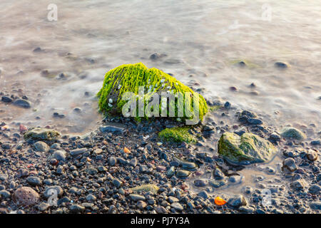 Rock covered with vegetation near Grotta Island Lighthouse, Reykjavik ...