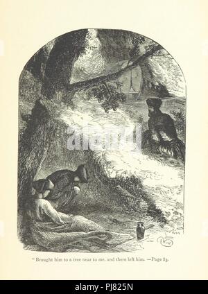 Image from page 85 of 'The White Cat a story . Illustrations by H ...