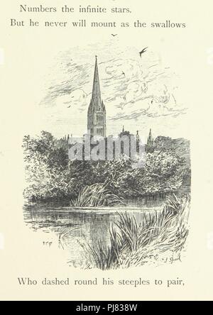 [The Paradise of Birds: an old extravaganza in a modern dress.] Stock ...