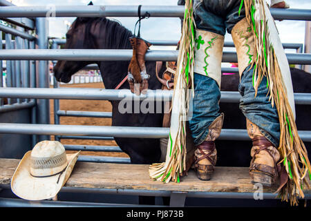 Equipment for a bareback bronc rider - chaps, vest and rigging. Mt ...