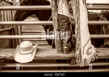 Rodeo cowboy ready to bareback ride in Texas rodeo. USA Stock Photo - Alamy