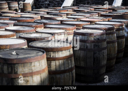 Empty Whisky Barrels at Ardbeg Distillery, Islay, Scotland Stock Photo ...