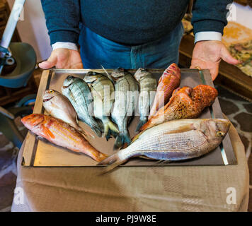 Various types of seafood on table with mirror. Unknown Stock Photo - Alamy