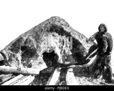 ROBERT EDWIN PEARY American explorer in the Arctic whose claims are ...