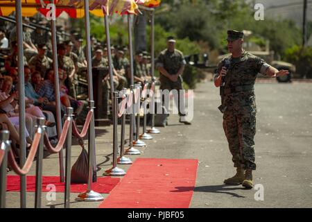 Col. Walker M. Field, commanding officer, 11th Marine Regiment, 1st ...