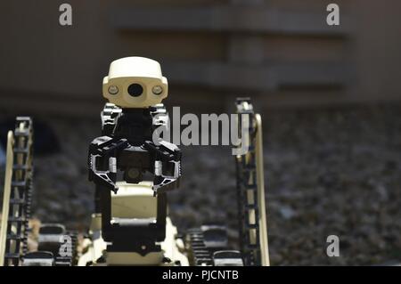 The Micro Tactical Ground Robot MTGR is a unique and lightweight system ...