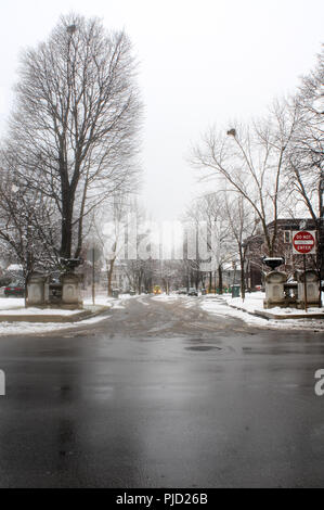Rochester, New York USA streetscape in the winter Stock Photo - Alamy