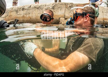 Royal Canadian Navy Clearance Diver Leading Seaman Donny Allen ...
