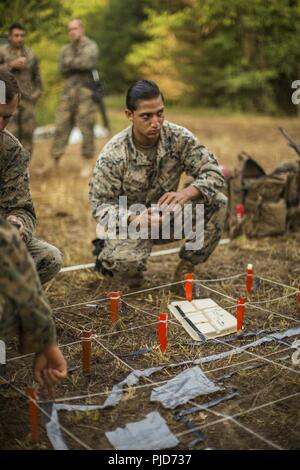 Marines with Combat Engineer Company provide security and set up a ...