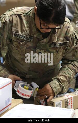 U.S. Army Reserve Soldiers with the 787th Combat Sustainment Support ...