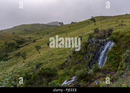 Views of Mt Inyangani, Zimbabwe's highest point, Nyanga national park ...