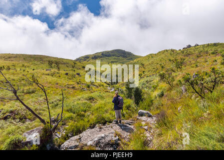 A hiker climbs the slopes of Mt Inyangani in bad weather, Nyanga ...