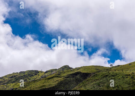 Views of Mt Inyangani, Zimbabwe's highest point, Nyanga national park ...