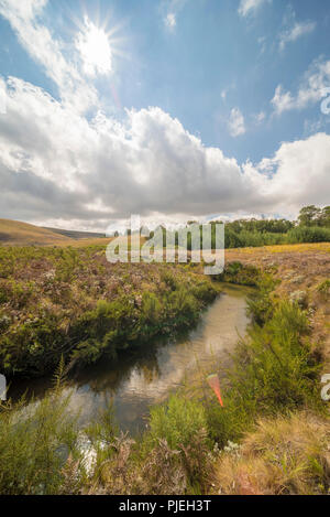 The beautiful Pungwe river seen in Zimbabwe's Nyanga National Park ...