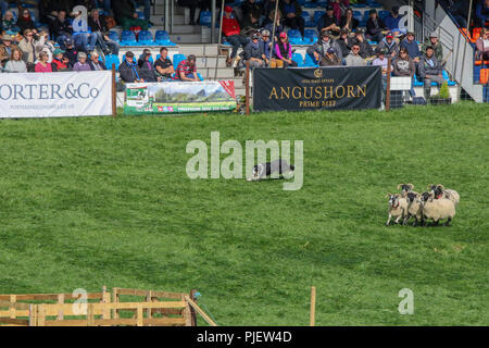 Gill Hall Estate, Dromore, County Down, Northern Ireland. 06 September ...