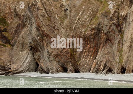 folded Crackington Formation turbiditic sandstones at HArtland Quay ...