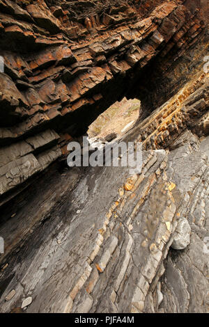 folded Crackington Formation turbiditic sandstones at HArtland Quay ...