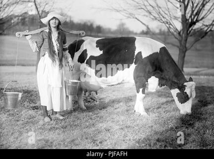 Milkmaid Milking a Cow Stock Photo: 44075988 - Alamy