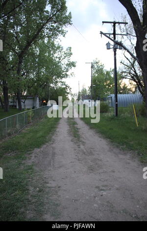 Green Tree lined lane at sunset, Lydiard Country Park, England Stock ...