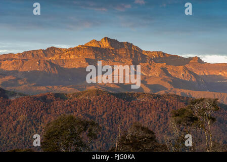 Morning sunshine on Gunung Puncak Trikora. At 4750 m, it is the second ...