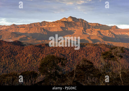 Morning sunshine on Gunung Puncak Trikora. At 4750 m, it is the second ...