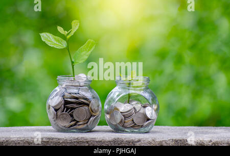 Plant growing from money jar Stock Photo - Alamy