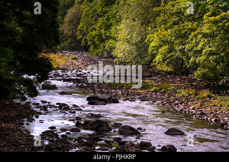 Stanhope, County Durham, GB, United Kingdom, England, N 54 44' 19'', S ...
