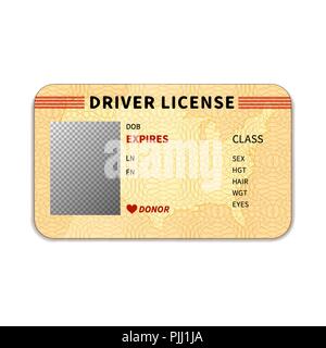 drivers license vector icon isolated on transparent background, drivers ...