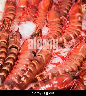 many red crustacean for sale at fishmongers Stock Photo - Alamy