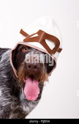 Funny pilot isolated on white Stock Photo - Alamy