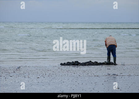 Man digging for lugworms on the beach at Margate, Kent Stock Photo - Alamy
