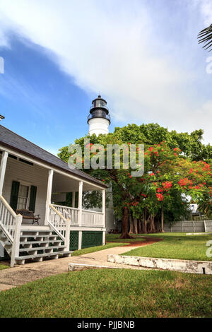 Key West Lighthouse with a Poinciana tree out front overlooks Old Town ...