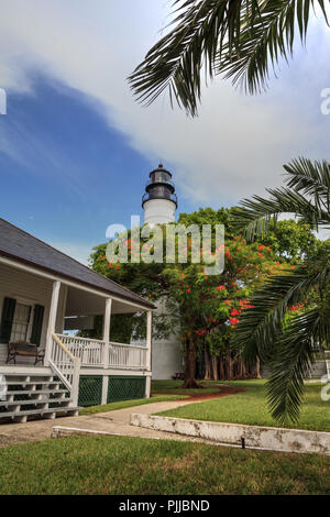 Key West Lighthouse with a Poinciana tree out front overlooks Old Town ...