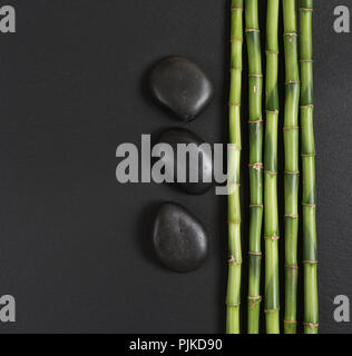 Bamboo stems on black background, closeup Stock Photo - Alamy