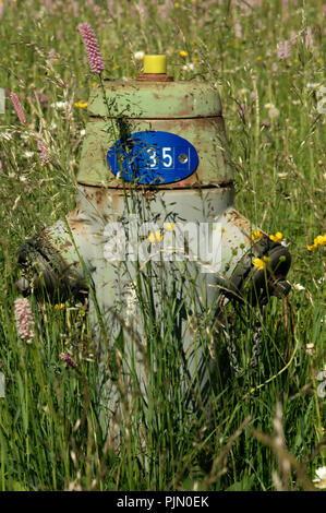 Swiss fire hydrant Stock Photo - Alamy