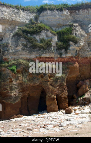 Cretaceous Chalk Fossils Stock Photo - Alamy