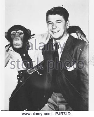 BEDTIME FOR BONZO (1951) RONALD REAGAN BFBZ 001 Stock Photo: 29242515 ...