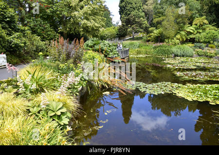 GARDEN WALK WAY AROUND POND Stock Photo - Alamy
