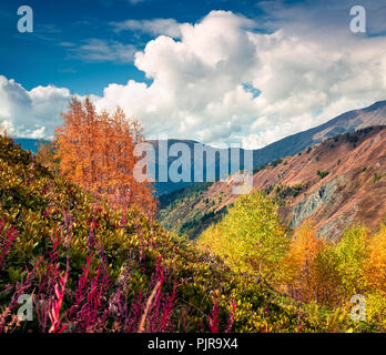 Colorful place in the caucasus mountains. Oni. Racha. Beautiful outdoor ...