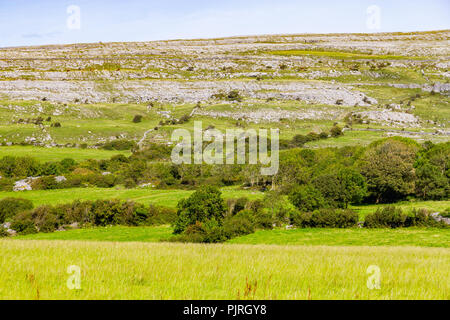 Farm field and rock mountain in Burren way trail, Ballyvaughan, Clare ...
