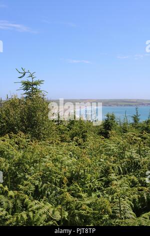 Castlefreke Lake Walk views Stock Photo - Alamy