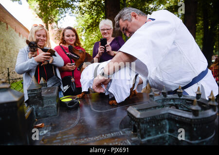 Krakow, Poland. 9th Sep, 2018. A man seen dressing his Dachshund during ...