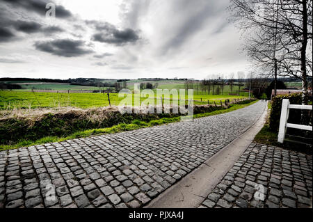 The Paterberg hill in Kluisbergen, one of the steepest hills on the ...
