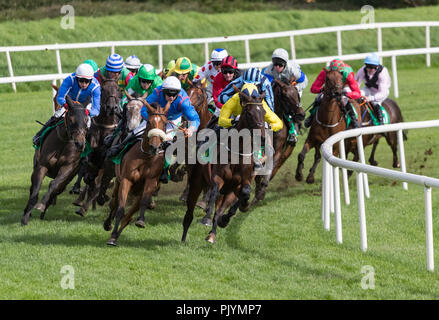 Listowel, Ireland, 9th September 2018. People watching Race Horses and ...