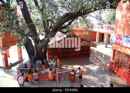 Hanuman temple in Allahabad, Uttar Pradesh, India, Asia Stock Photo - Alamy